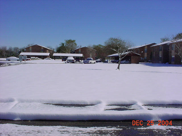 Jerry Ries Snow in Beeville Christmas Eve 2004 - Beeville, Texas