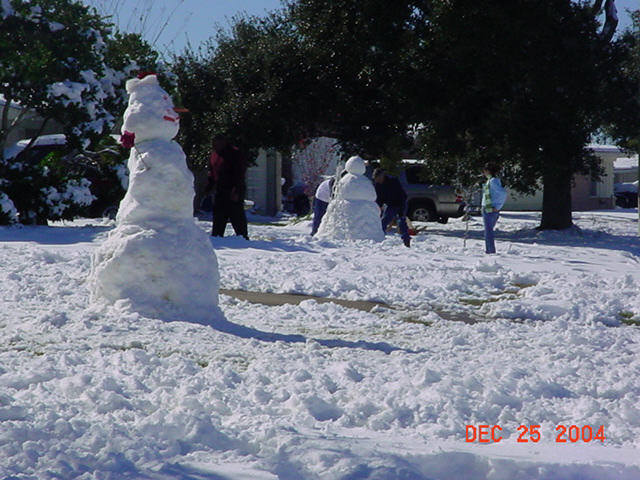 Jerry Ries Snow in Beeville Christmas Eve 2004 - Beeville, Texas